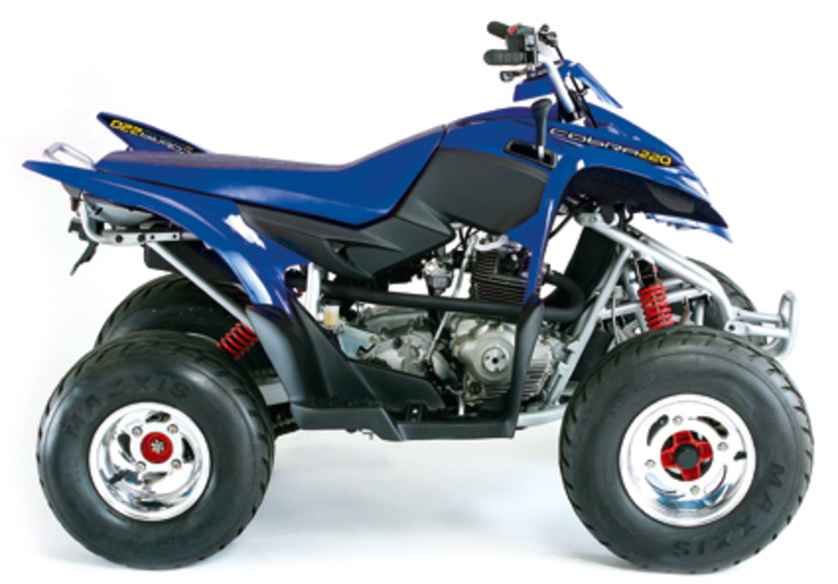 Aeon Cobra 220, prezzo e scheda tecnica - Moto.it