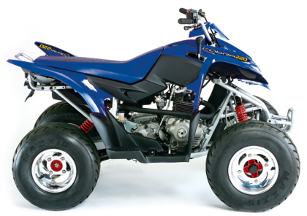 Aeon Cobra 220, prezzo e scheda tecnica - Moto.it